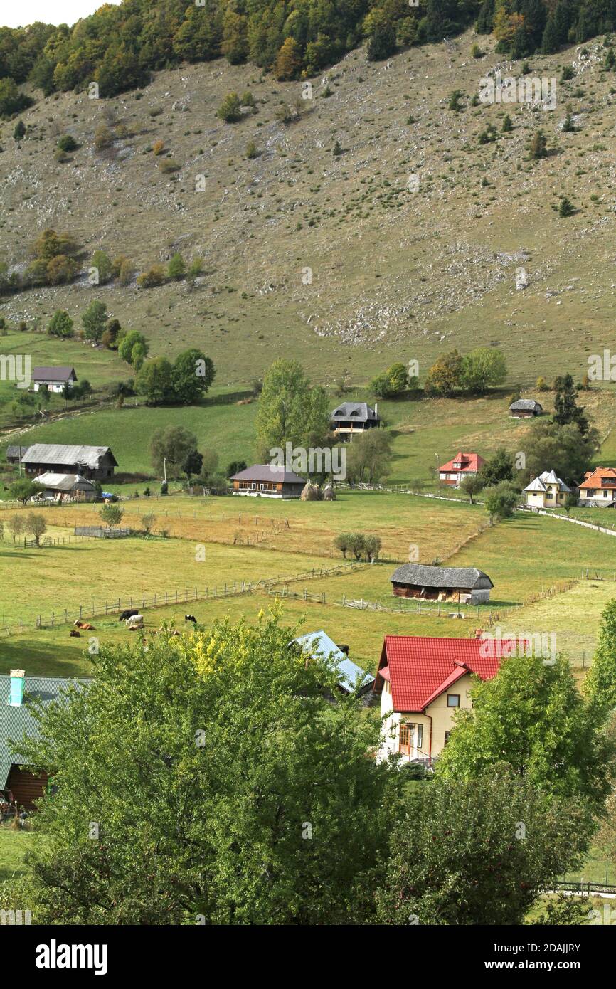 Houses in the village of Sirnea, Brasov County, Romania. Village at ...
