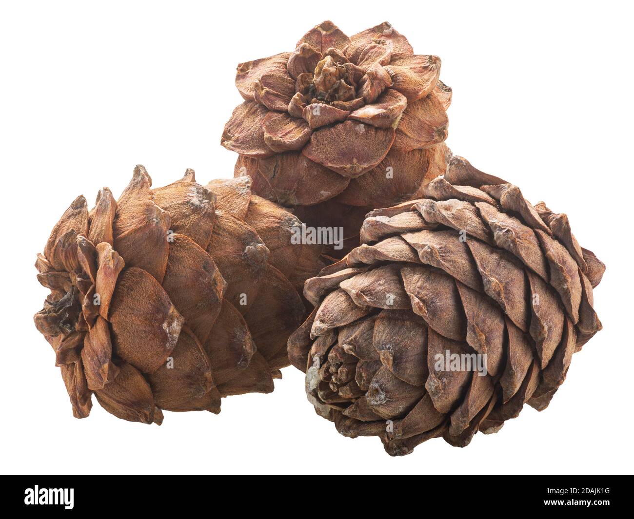 Pignoli nuts hi-res stock photography and images - Alamy