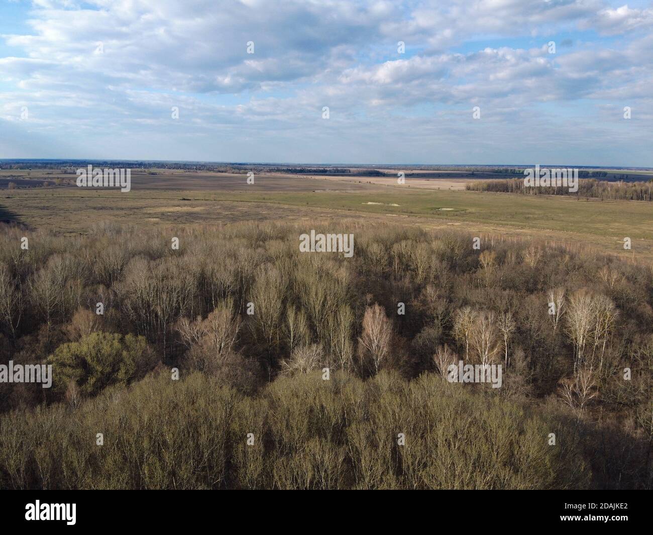 Leafless spring forest, aerial view. Forest terrain Stock Photo - Alamy