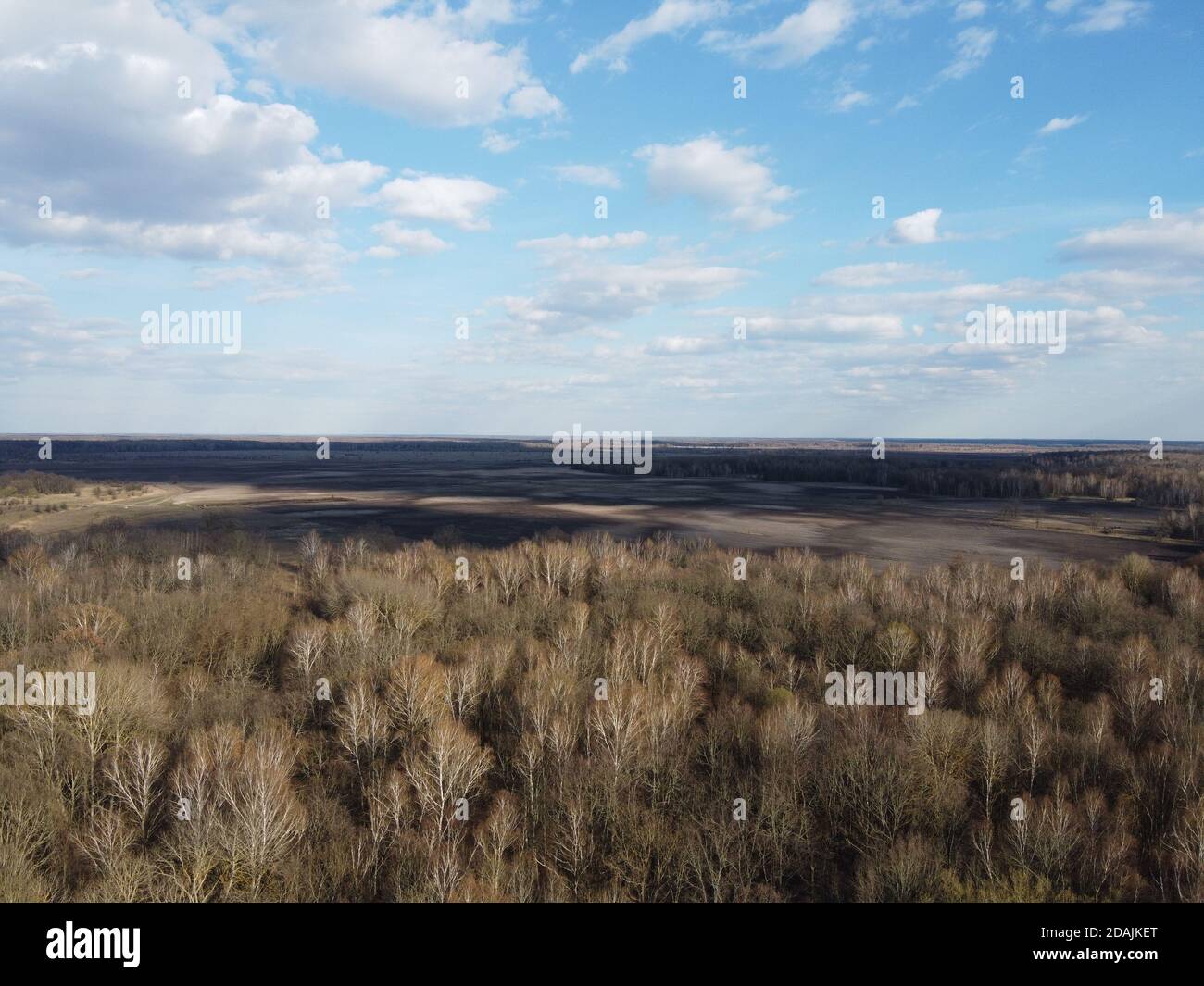 Leafless spring forest, aerial view. Forest terrain Stock Photo - Alamy