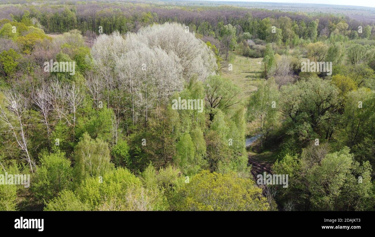 Temperate climate hi-res stock photography and images - Alamy