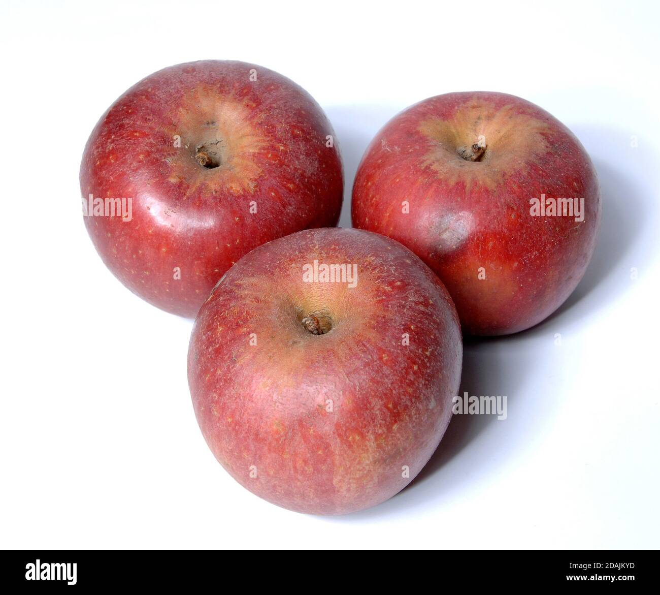 three small red apple called annurca from the Campania region isolated ...