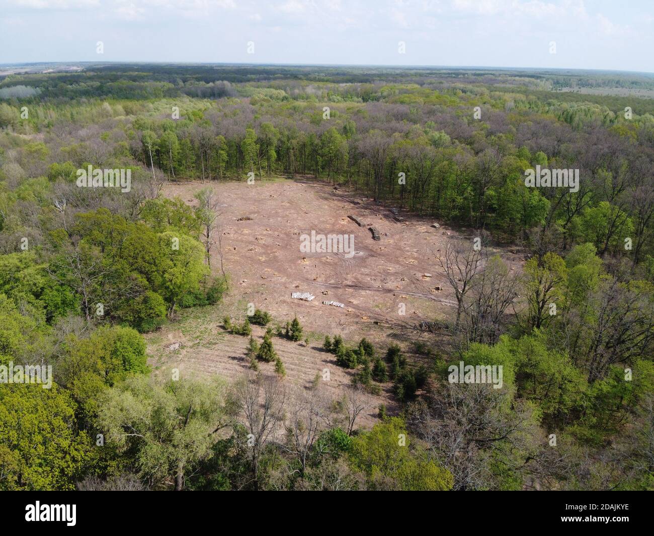 Aerial view tree clearing hi-res stock photography and images - Alamy