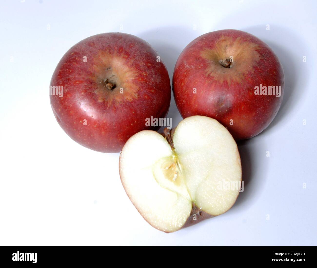 two small red apple called annurca e one opened from the Campania ...