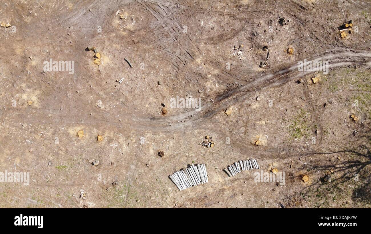 Logging place, aerial view. Devastated land. Felled forest Stock Photo ...