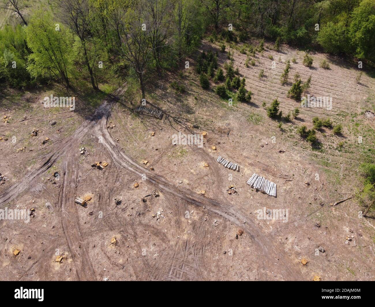 Aerial view forest logging site hi-res stock photography and images - Alamy