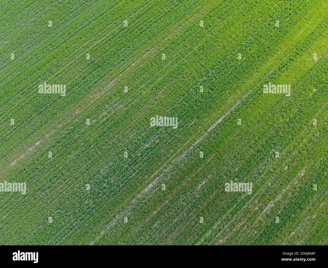 Aerial view farmland hi-res stock photography and images - Alamy