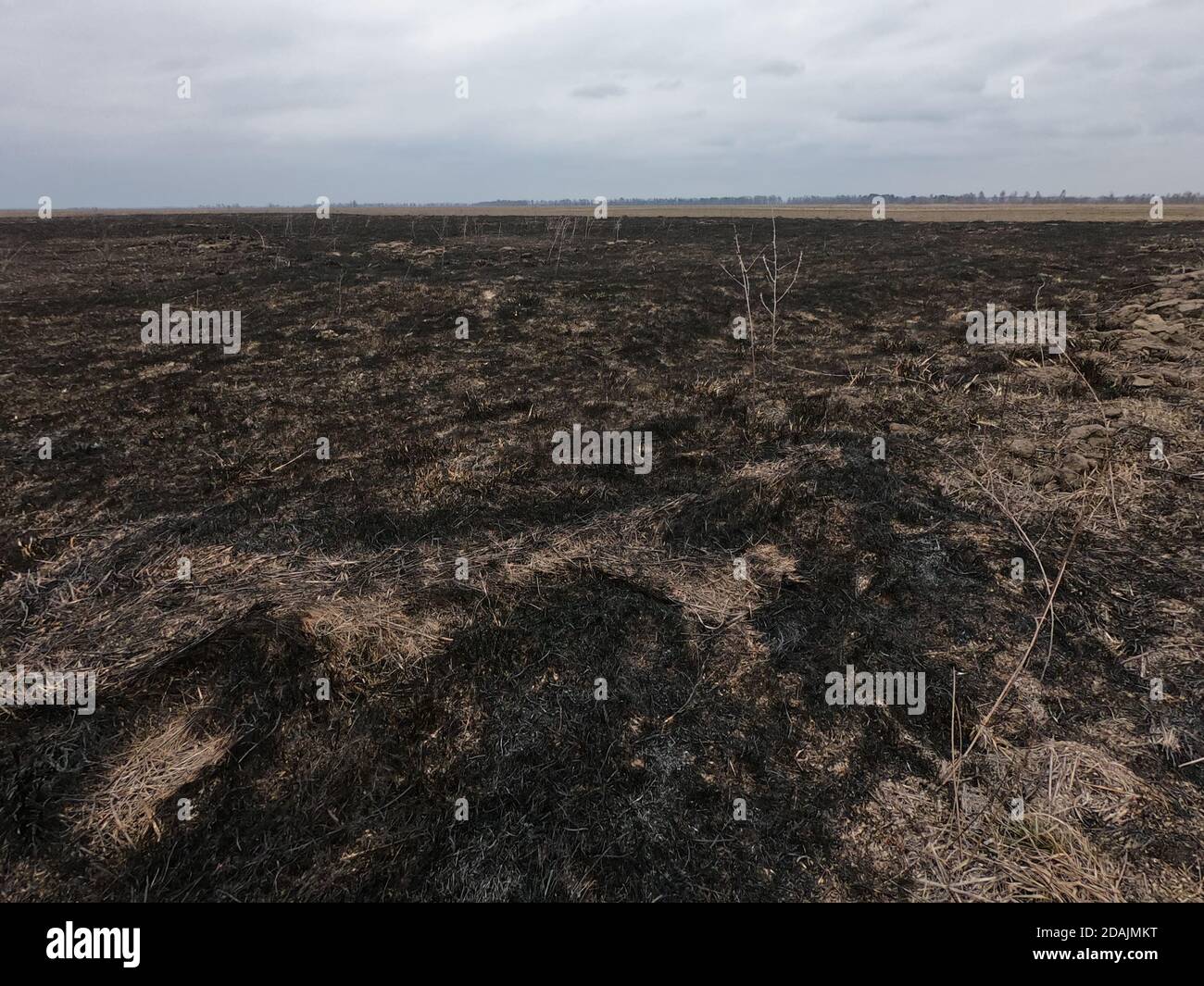 Burnt field. Place of environmental disaster. Moody landscape Stock ...