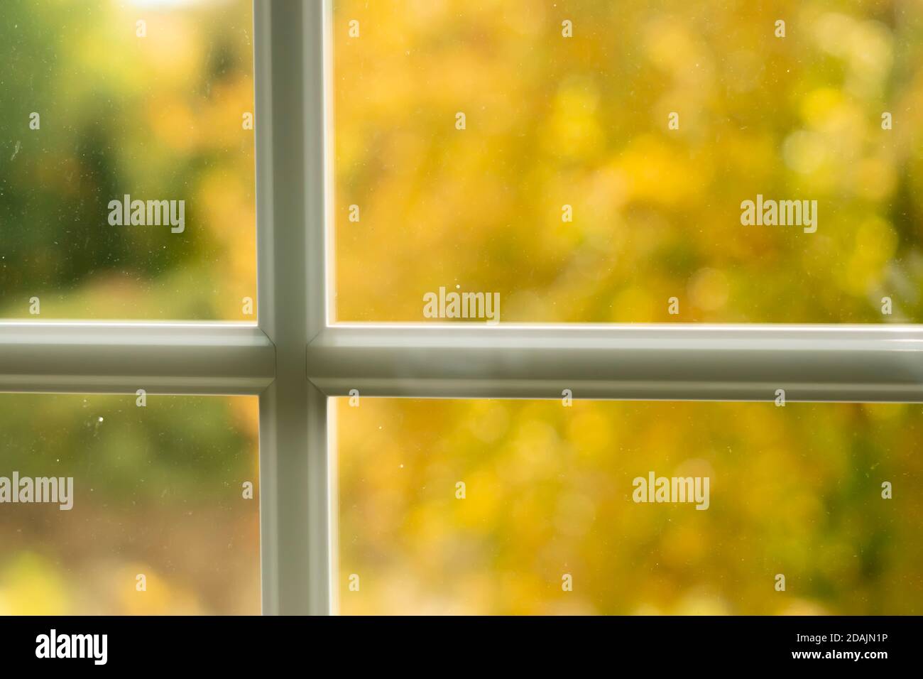 Window of nature hi-res stock photography and images - Alamy