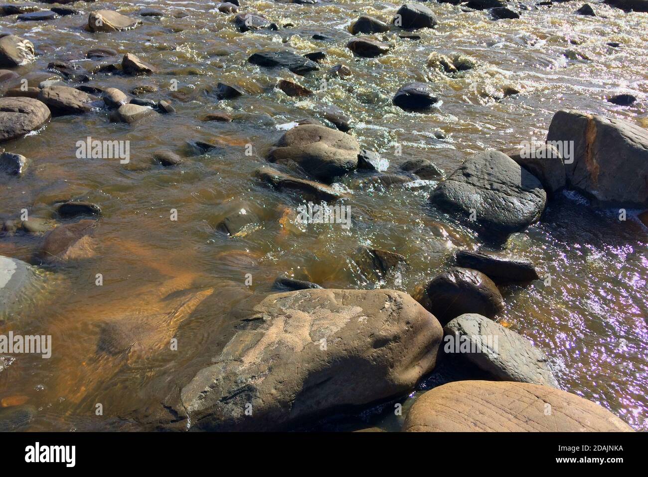 mountain stream, rapid flow of water, stones in the water, small ...