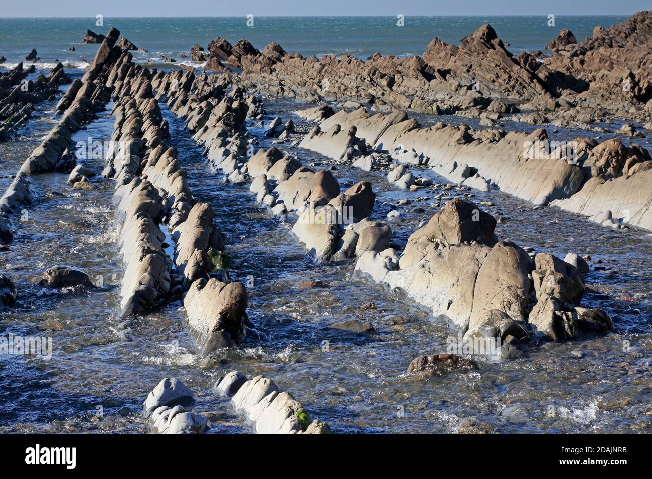 View of the rock ledges at Welcombe Mouth Beach on the Devon and ...