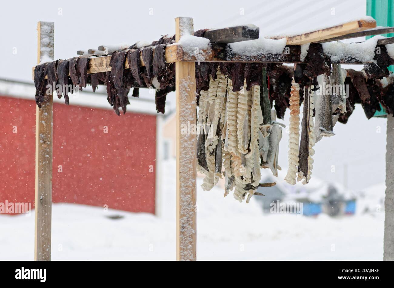 Fish drying in a small local community hi-res stock photography and ...
