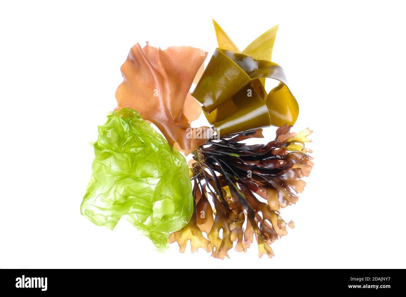 Edible seaweed hi-res stock photography and images - Alamy