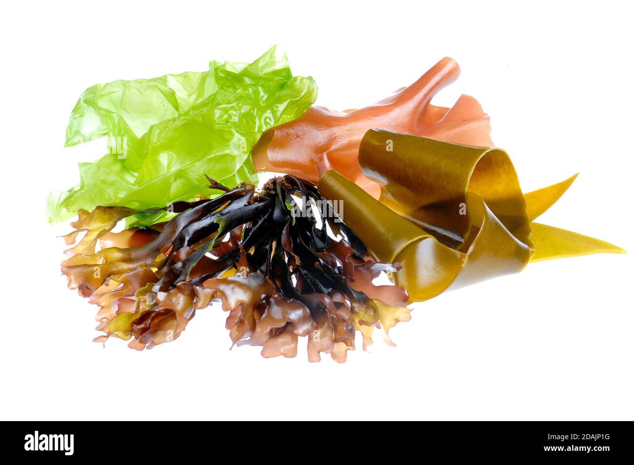 edible seaweed on white background Stock Photo - Alamy