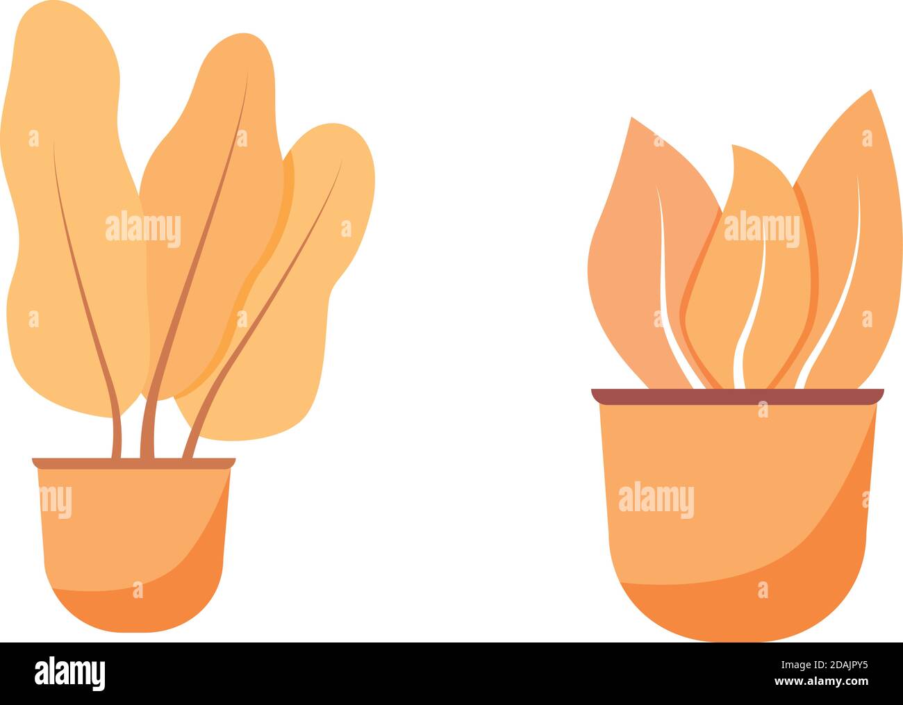 Orange houseplant flat object set Stock Vector Image & Art - Alamy