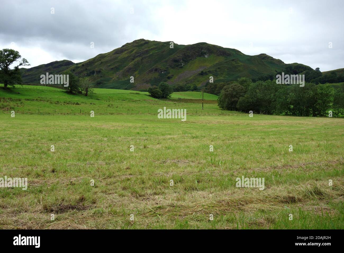 The Wainwright 'High Rigg' from the Old Coach Road to Matterdale in St ...