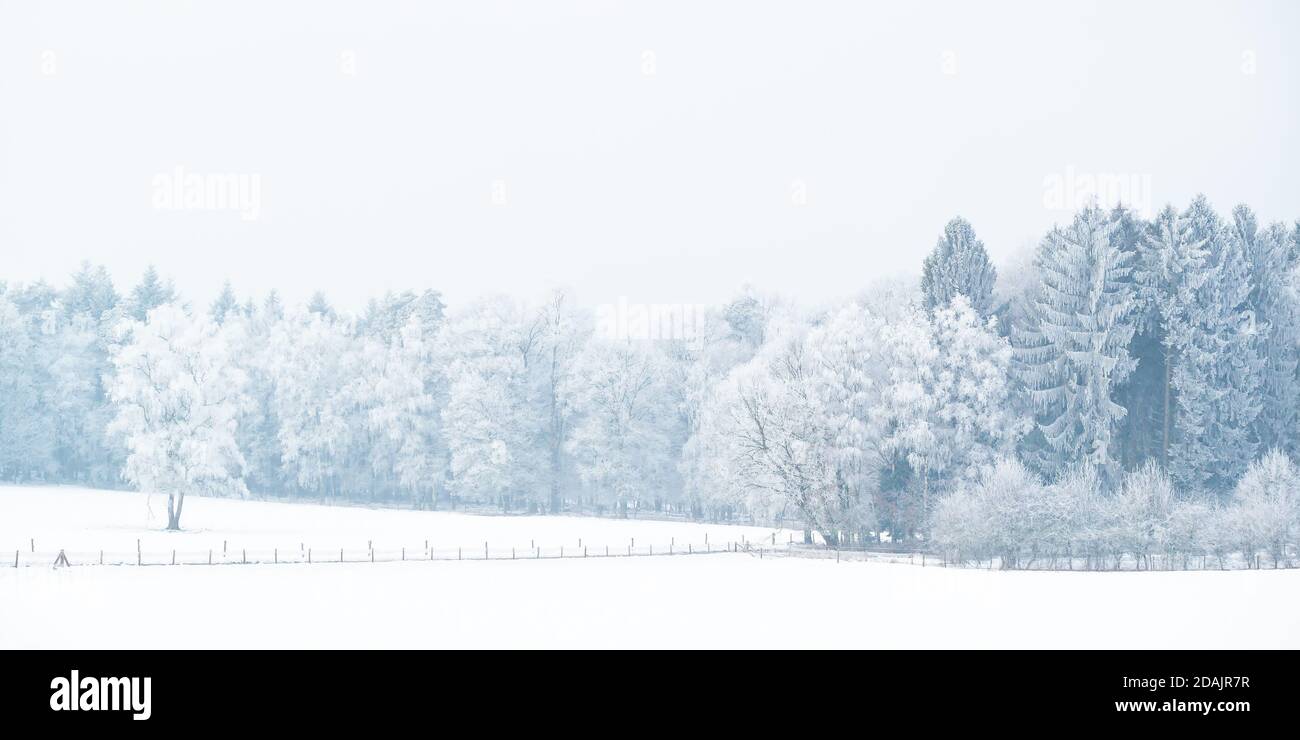 Panoramic winter view with snow of the Dutch Posbank in national park ...