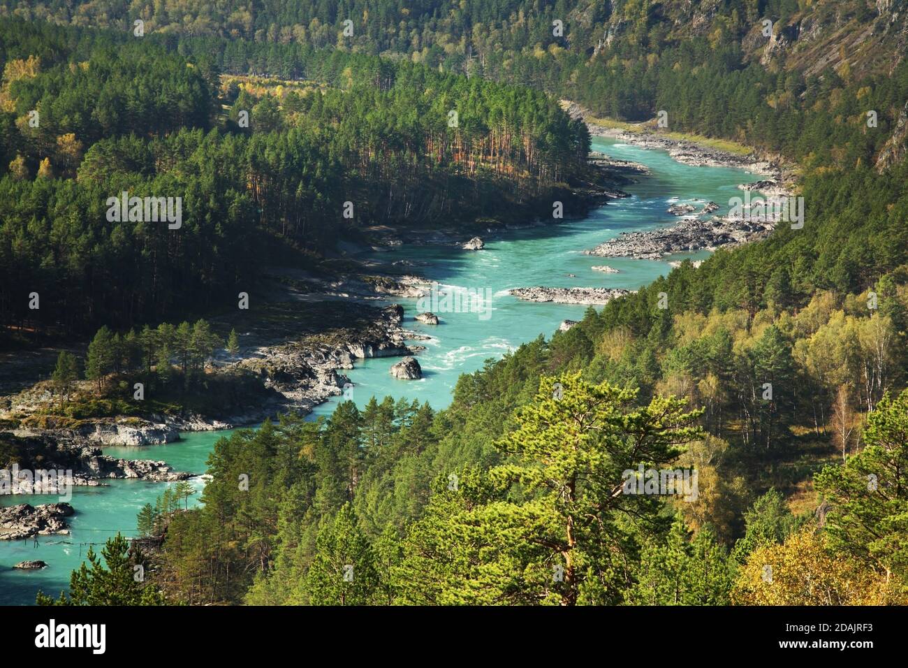 Katun river near Chemal village. Altai Republic. Russia Stock Photo - Alamy