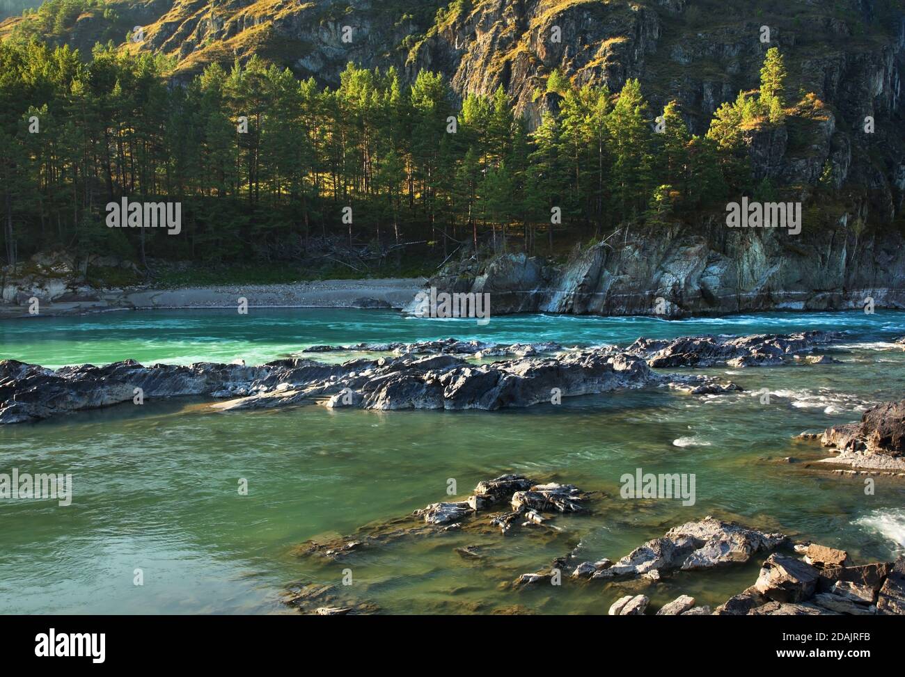 Katun river near chemal village hi-res stock photography and images - Alamy