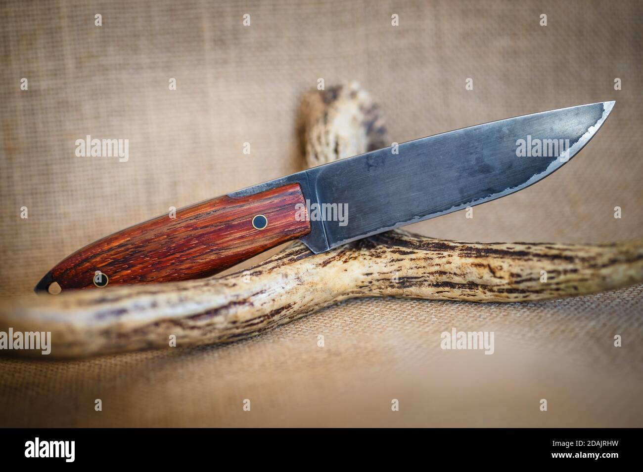 Combat knife sheath hi-res stock photography and images - Alamy
