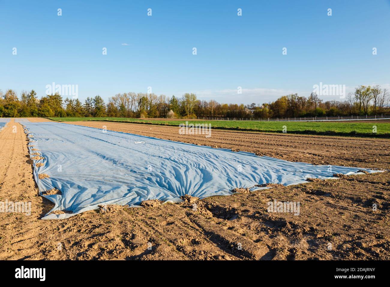 Agro fiber hi-res stock photography and images - Alamy