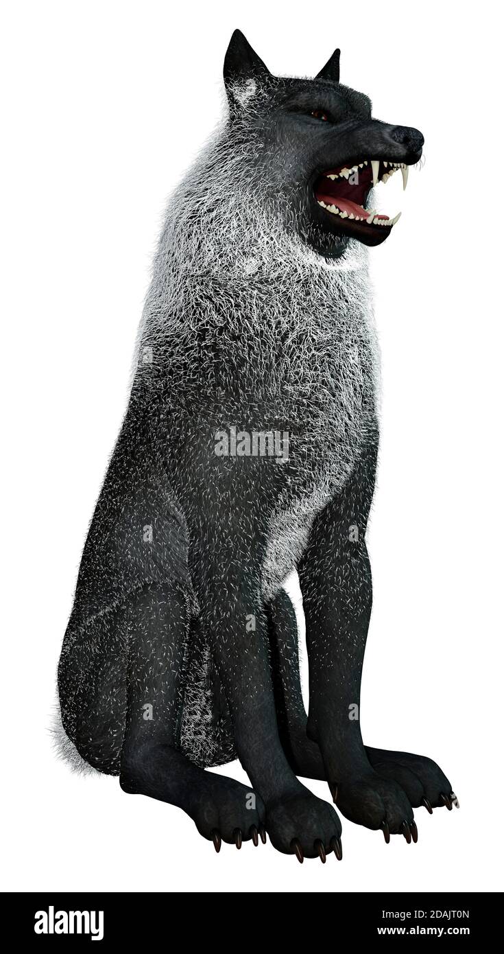 3D rendering of a black wolf isolated on white background Stock Photo ...