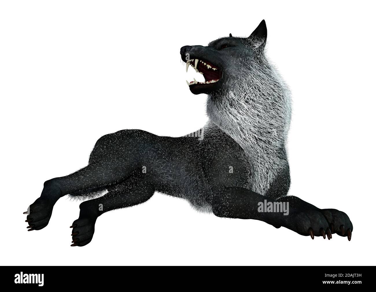 3D rendering of a black wolf isolated on white background Stock Photo ...