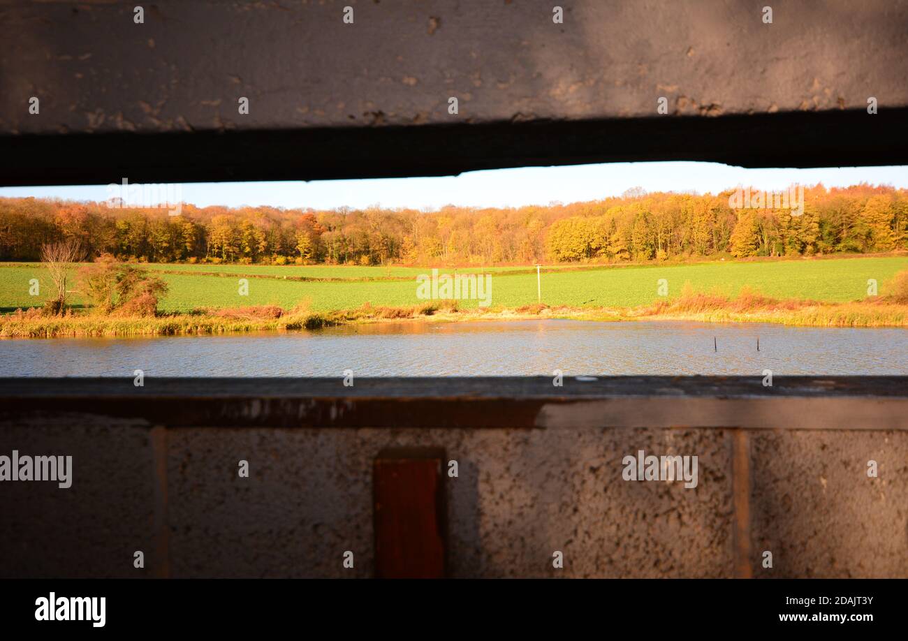 View from the hide at Sprotbrough Flash nature reserve Stock Photo - Alamy
