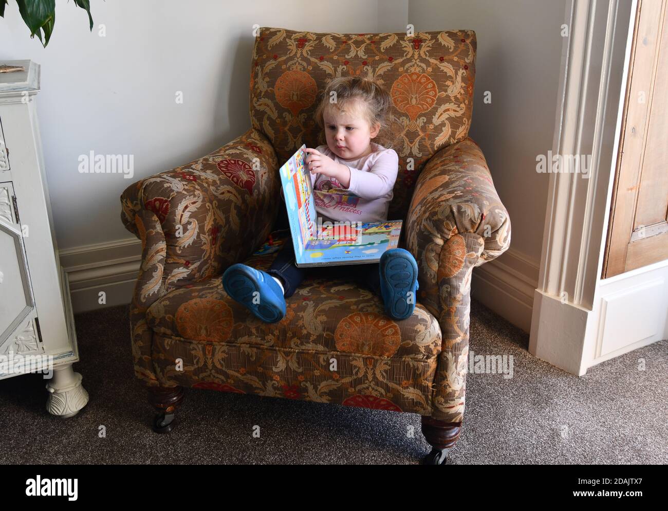 Cute child toddler girl looking at book Stock Photo - Alamy