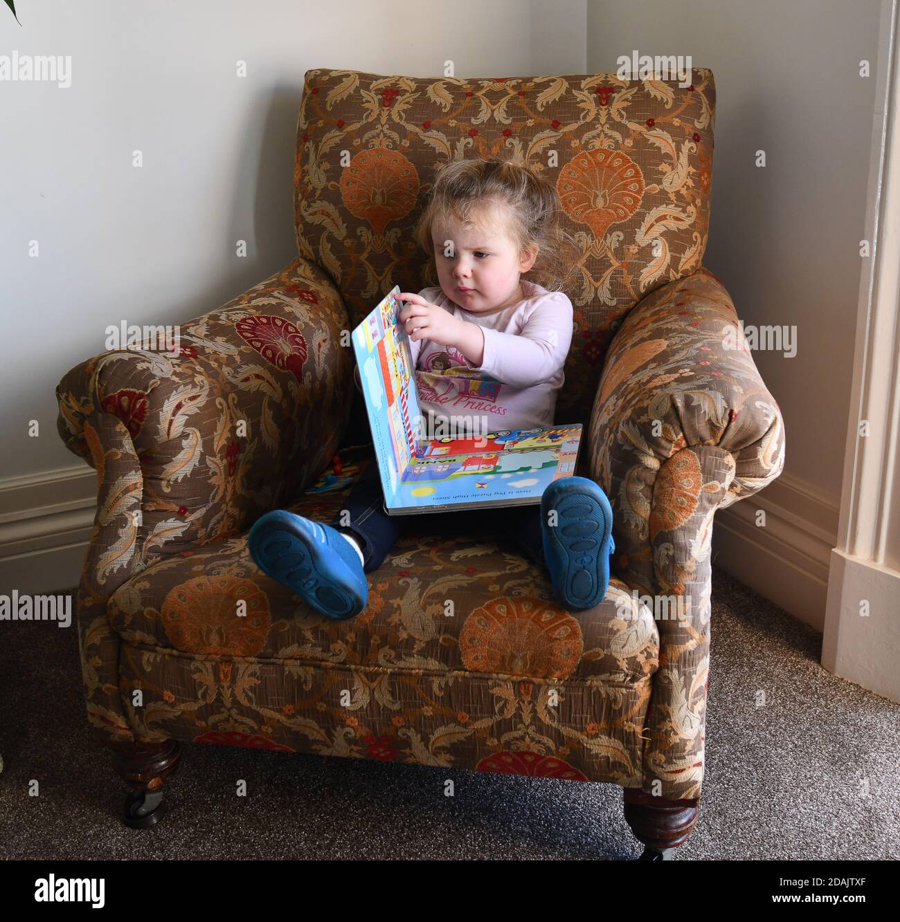 Toddler reading book hi-res stock photography and images - Alamy