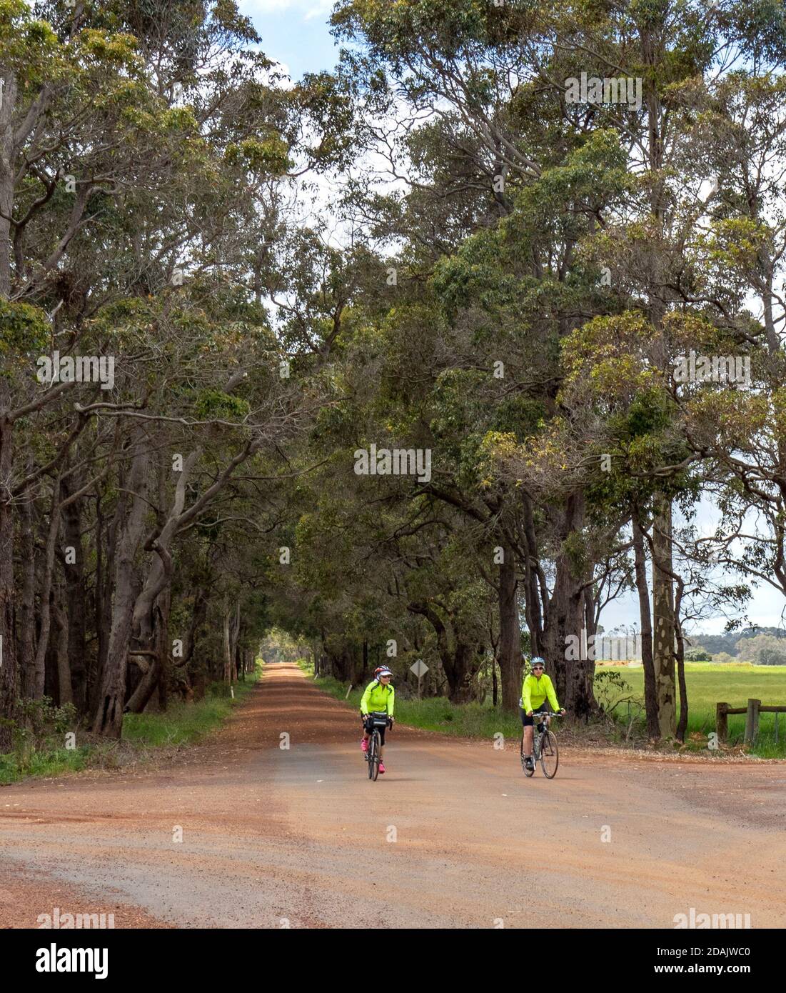 Touring cyclists travelling on vacation riding bicycles on a country ...