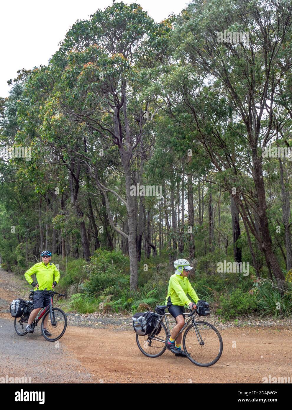 Touring cyclists travelling on vacation riding bicycles on a country ...