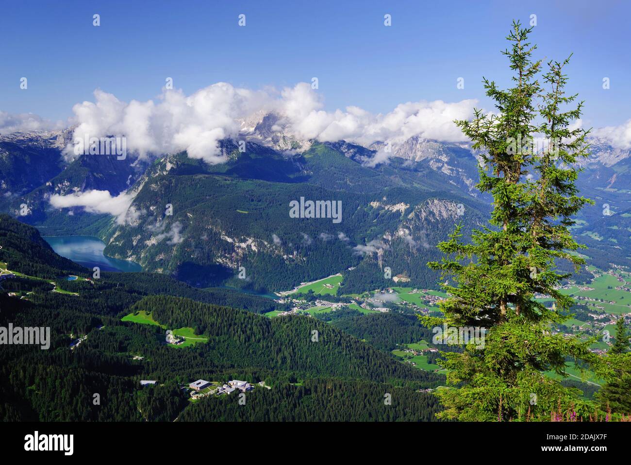 Alpine landscape in South Bavaria, Germnay, Europe Stock Photo - Alamy