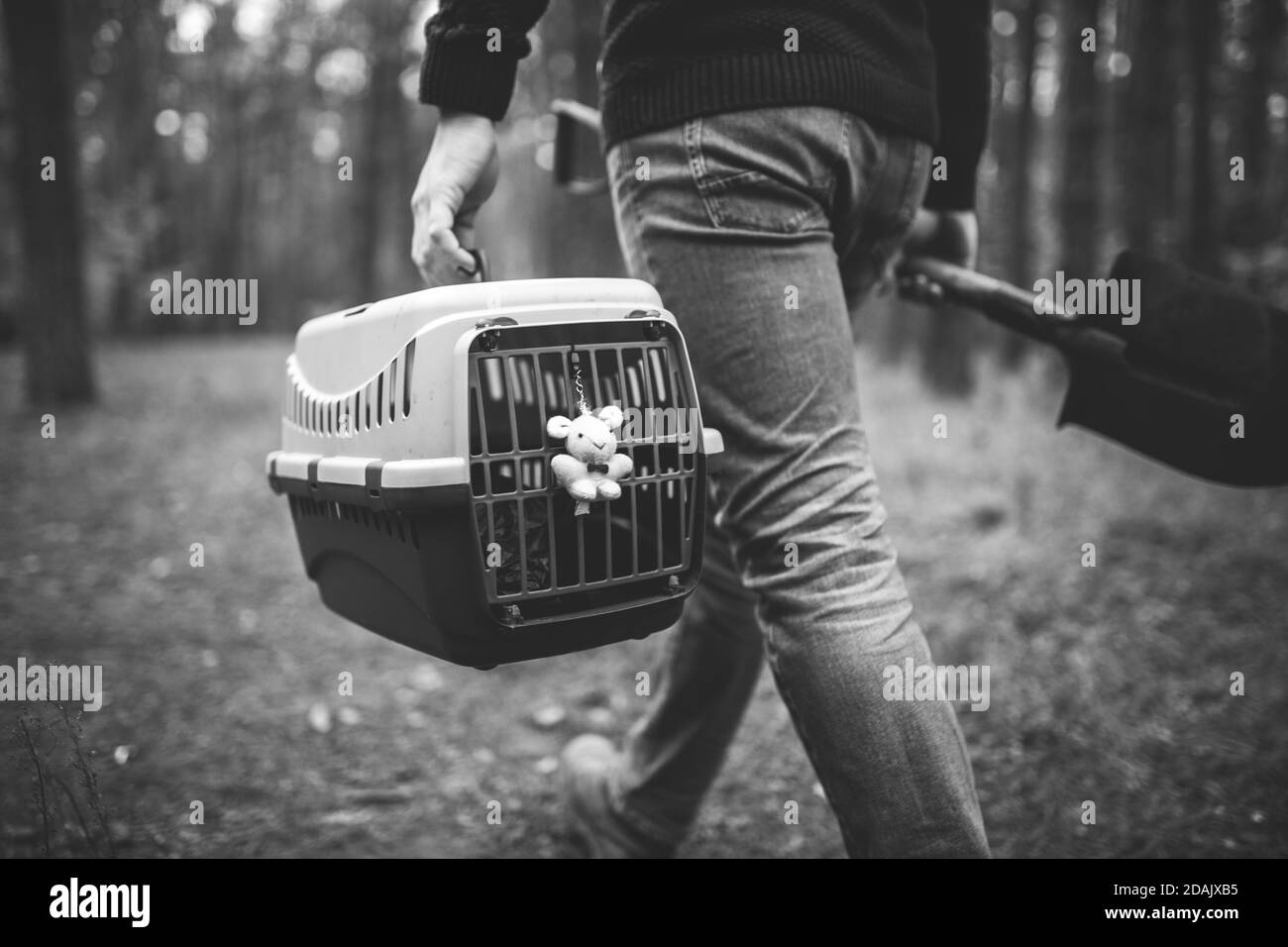 Man still in forest carrying transport box inside with dead pet and ...