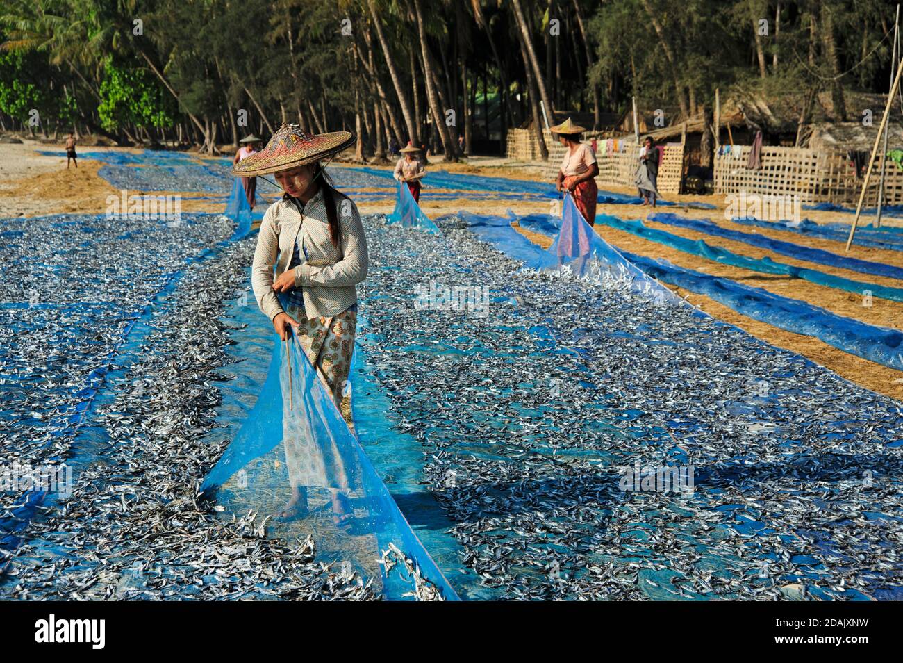 Burmese longi hi-res stock photography and images - Alamy