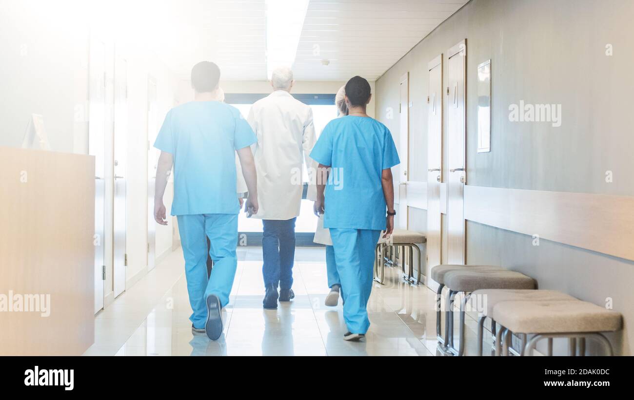 Back View of the Team of Doctors, Nurses and Assistants Walking through ...