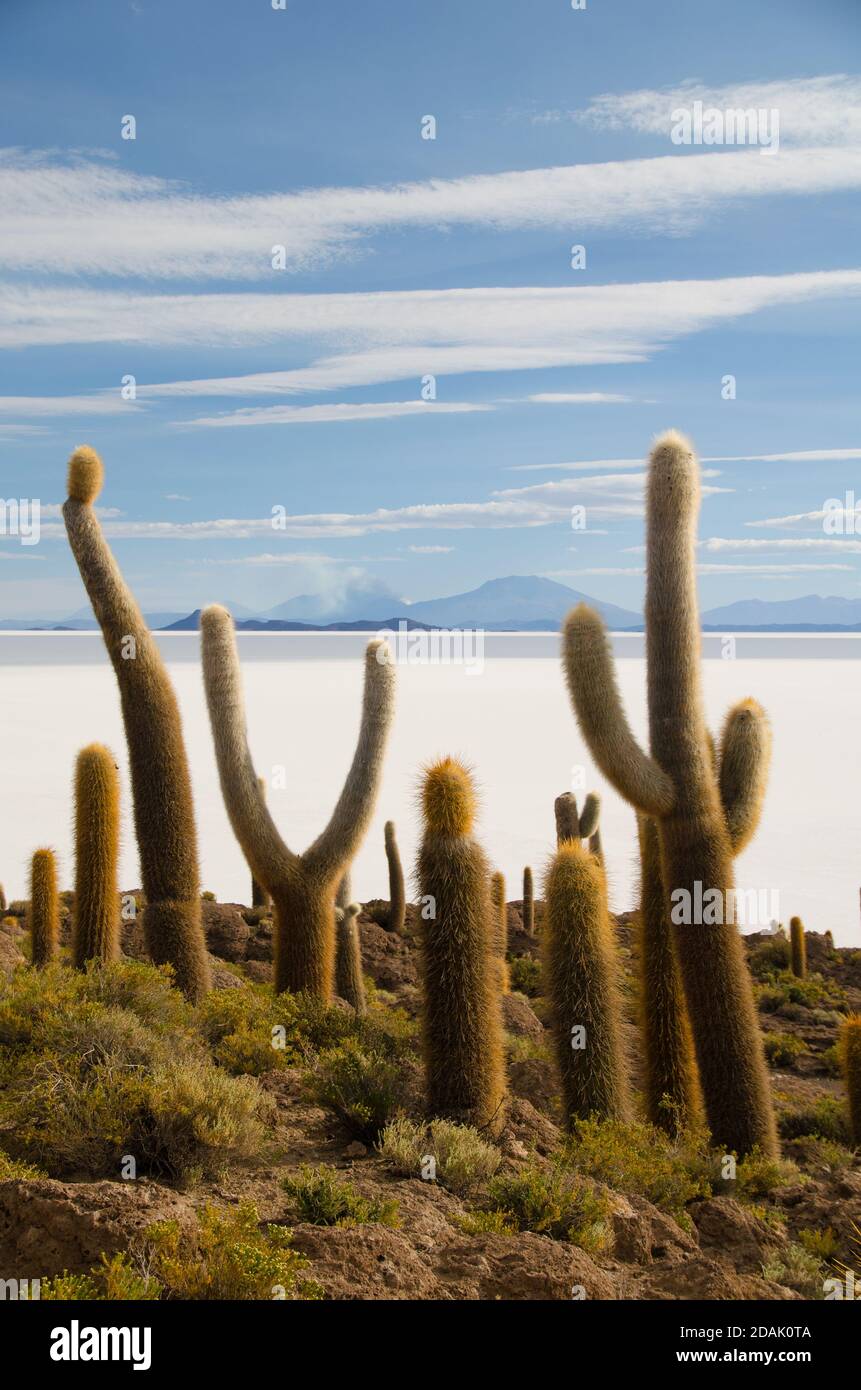 Desert train smoke hi-res stock photography and images - Alamy