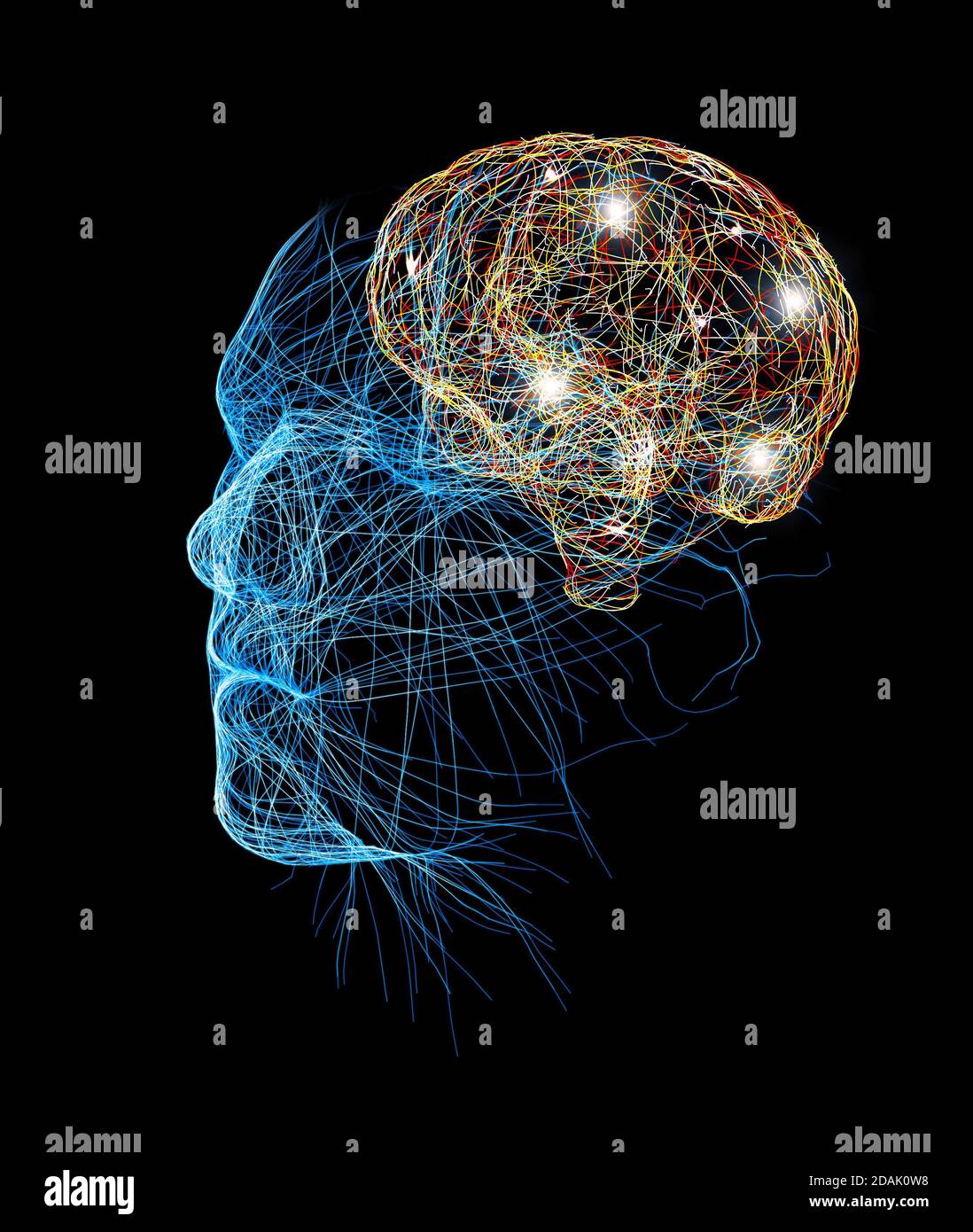 Neurology, philosophy: connections, the development of thought and ...