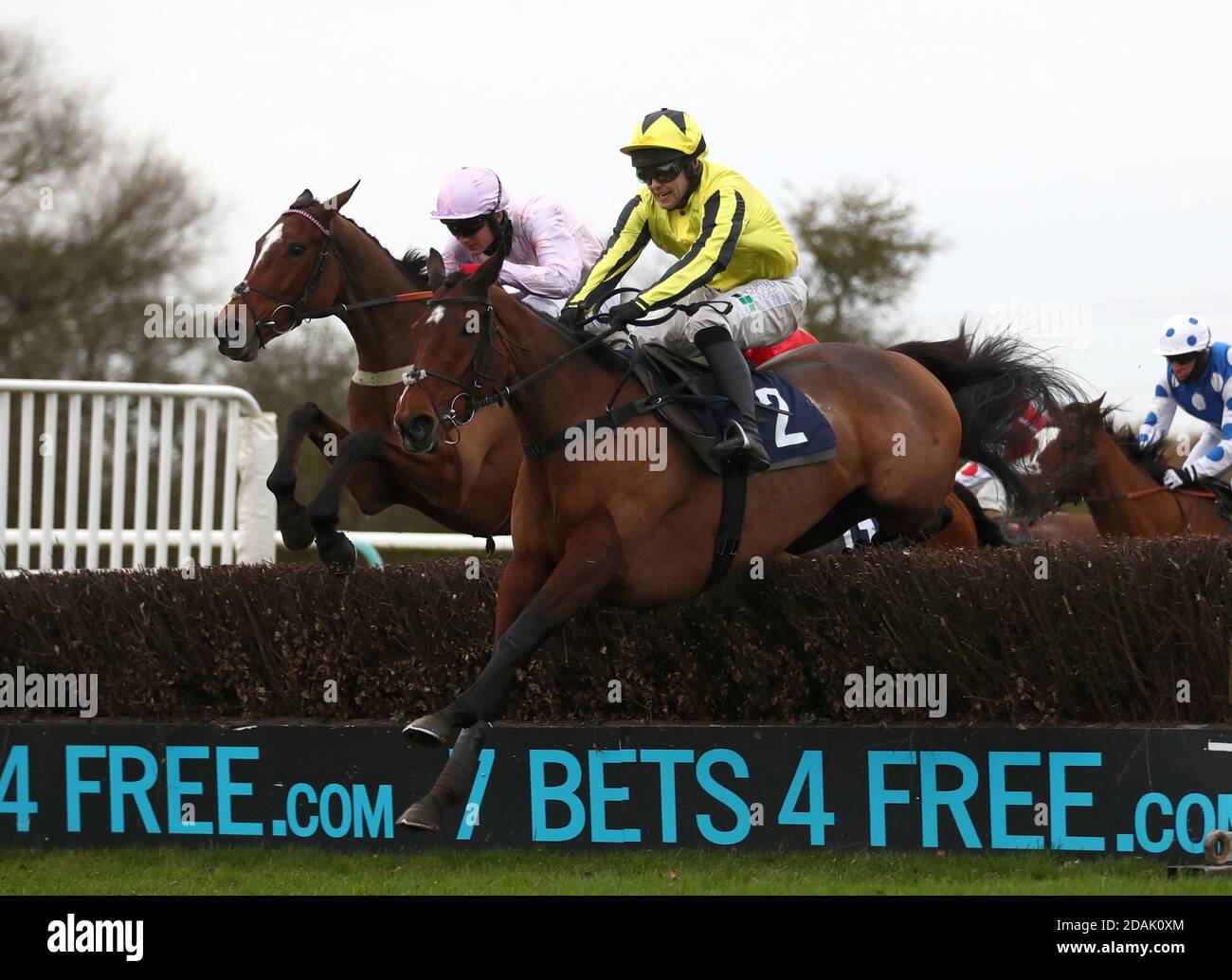 Jonjo oneill junior hi-res stock photography and images - Alamy