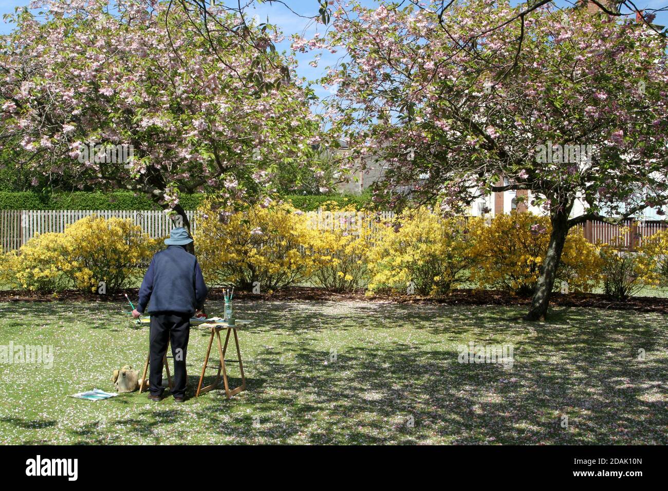 Girvan Artist James Harrigan at work in Orchard Gardens Girvan, South ...