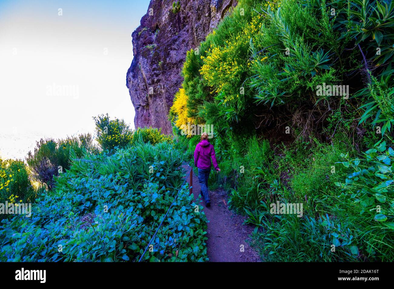 Beautiful hiking trail from Pico do Arieiro to Pico Ruivo, Madeira ...