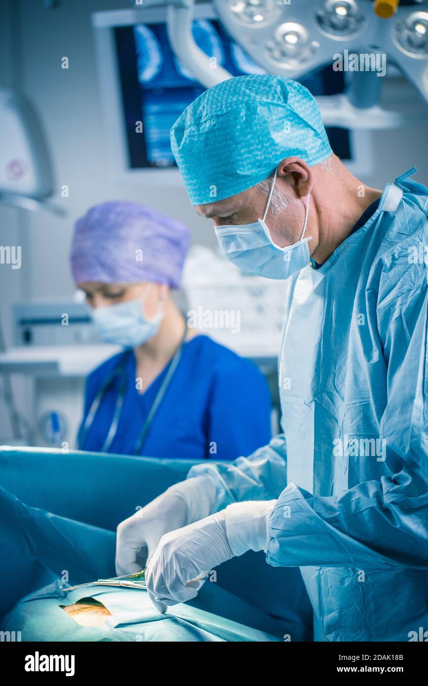 Vertical Shot of a Professional Surgeon Performing Invasive Surgery on ...