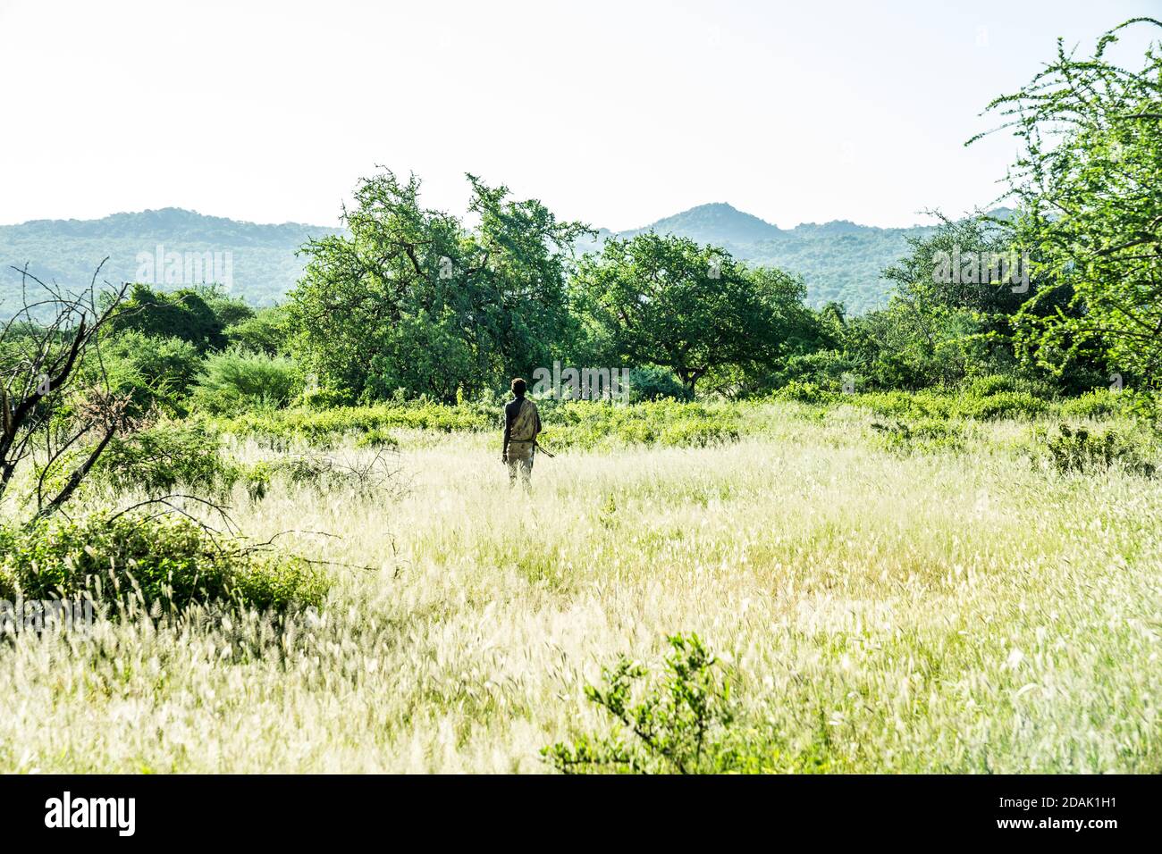 Hunter gatherer hadza tribe hunting hi-res stock photography and images ...