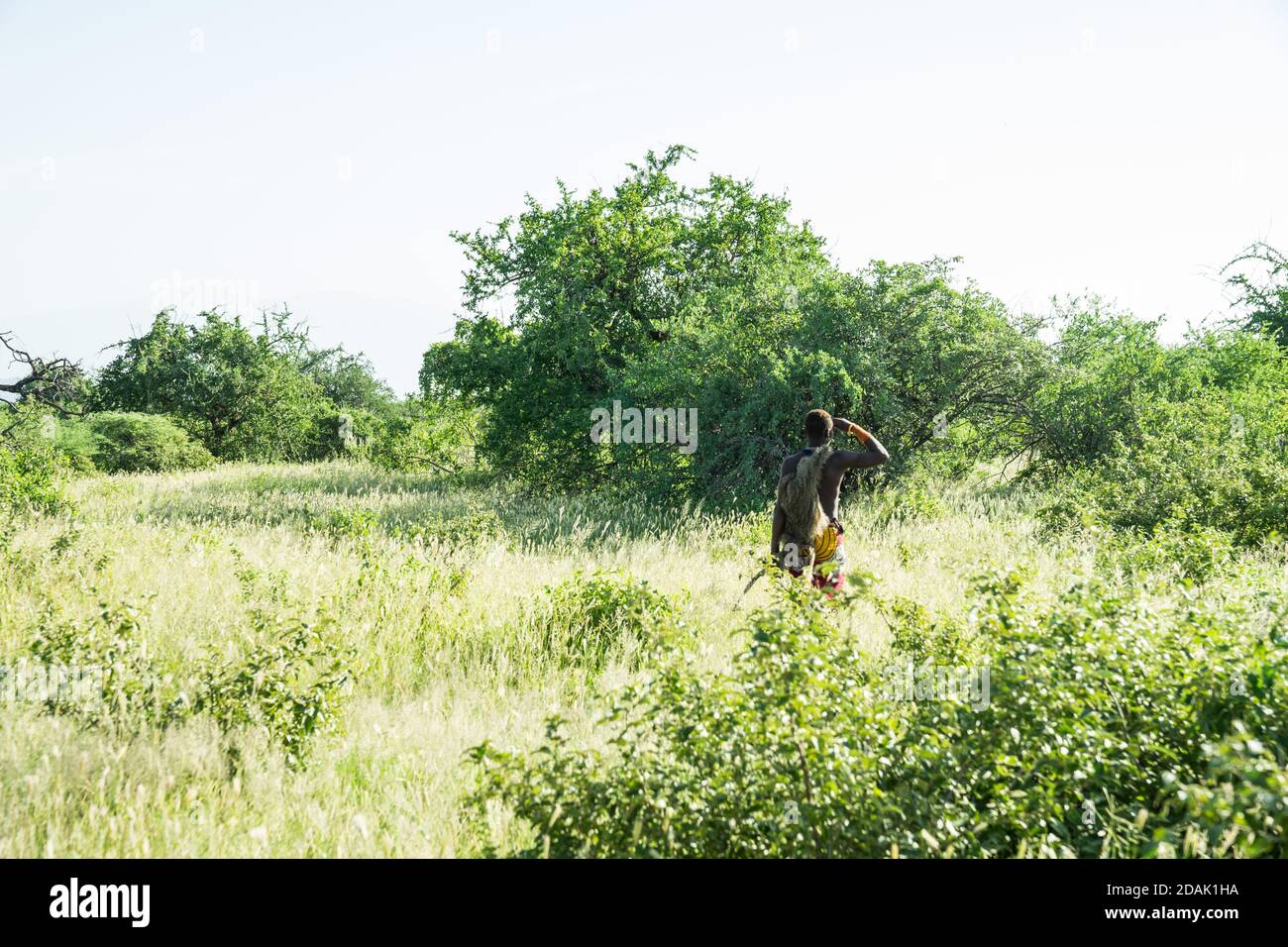 Hunter gatherer hadza tribe hunting hi-res stock photography and images ...