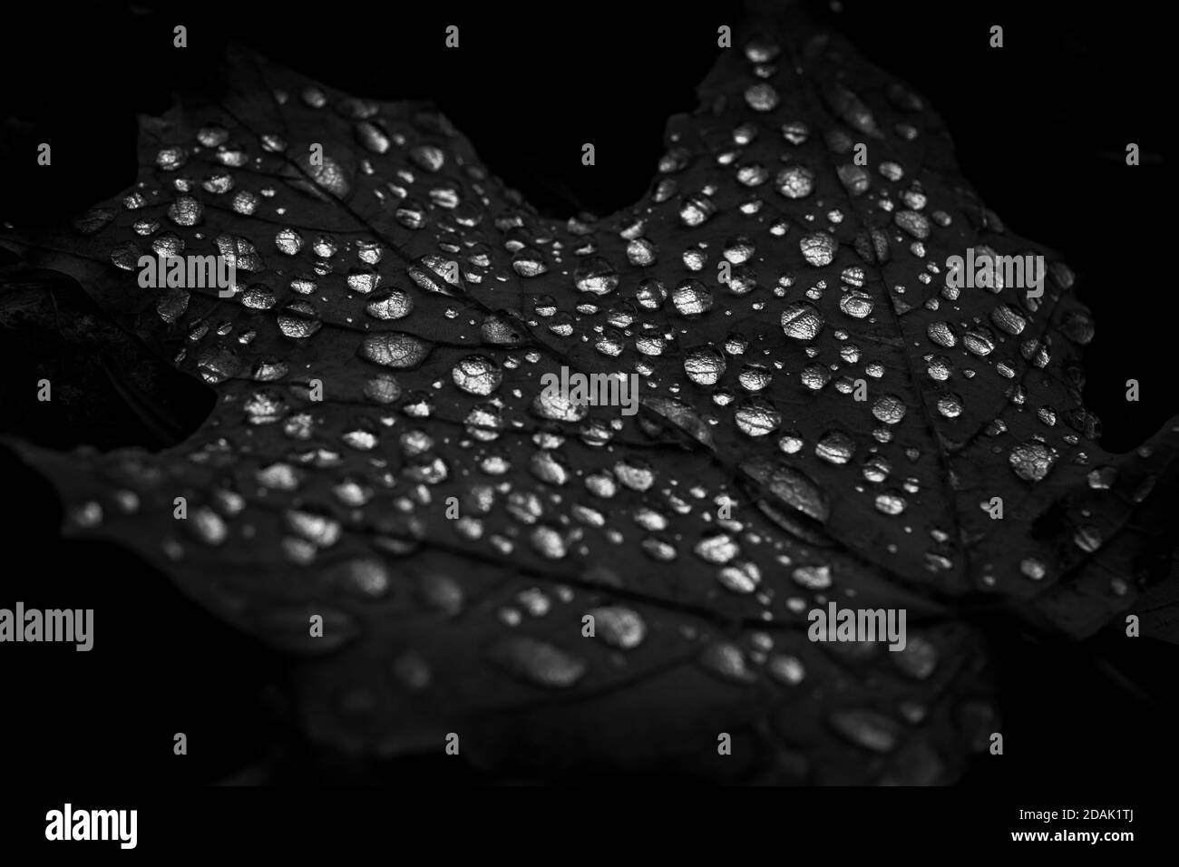 Rain on van Black and White Stock Photos & Images - Alamy