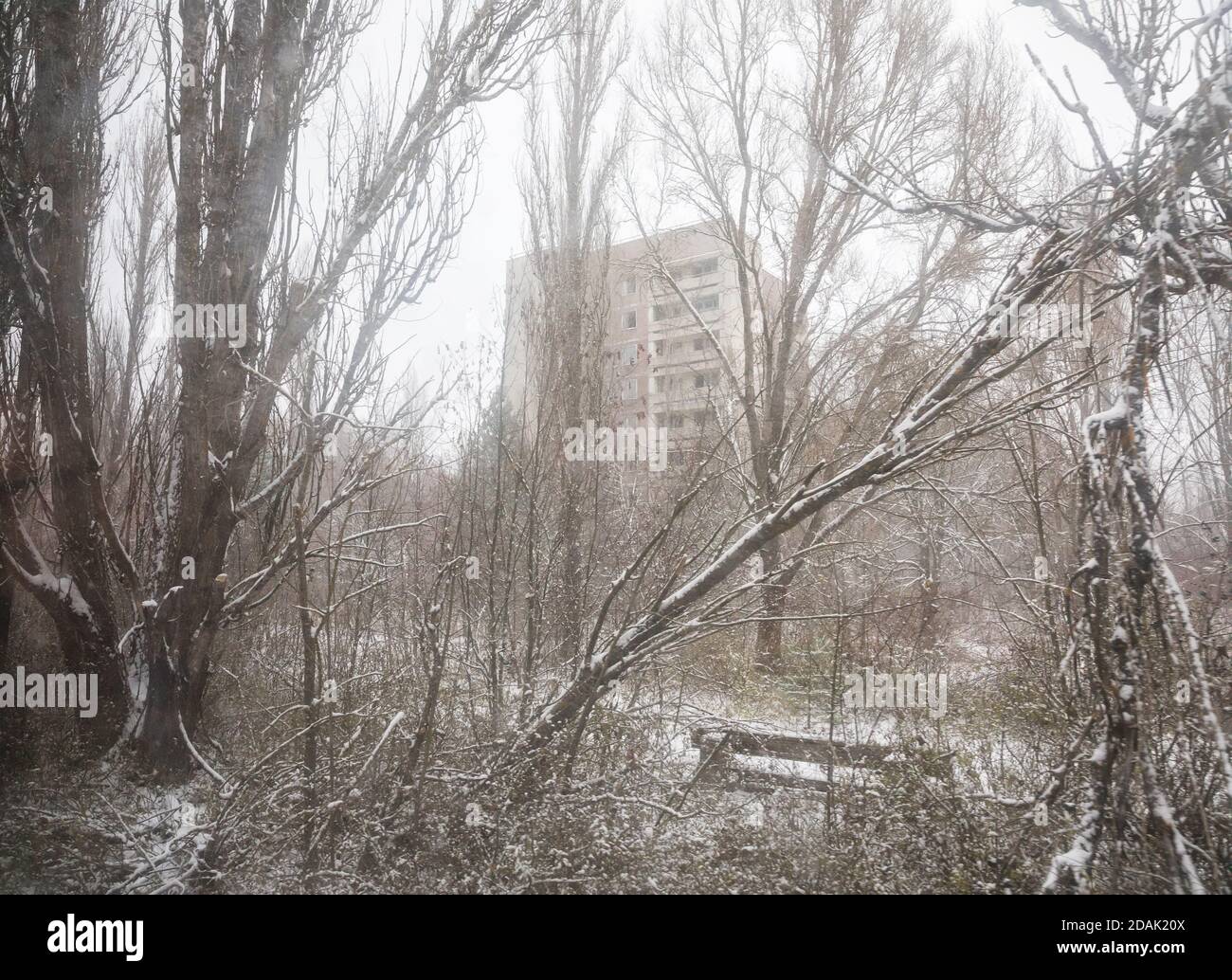 CHERNOBYL REG, UKRAINE - Nov 29, 2016: Chernobyl Exclusion Zone. Lost ...