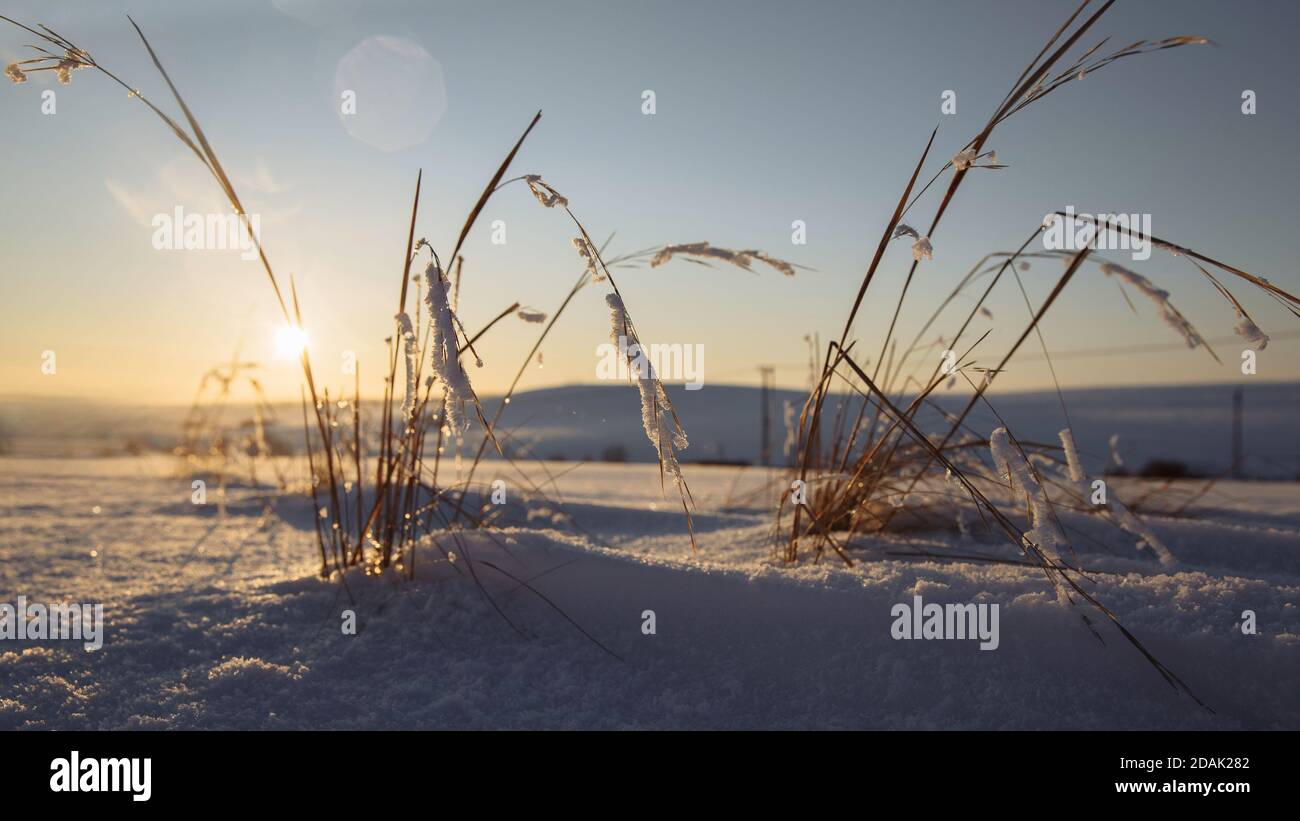 Winter sunset in an open field. The grass is covered with snow Stock ...