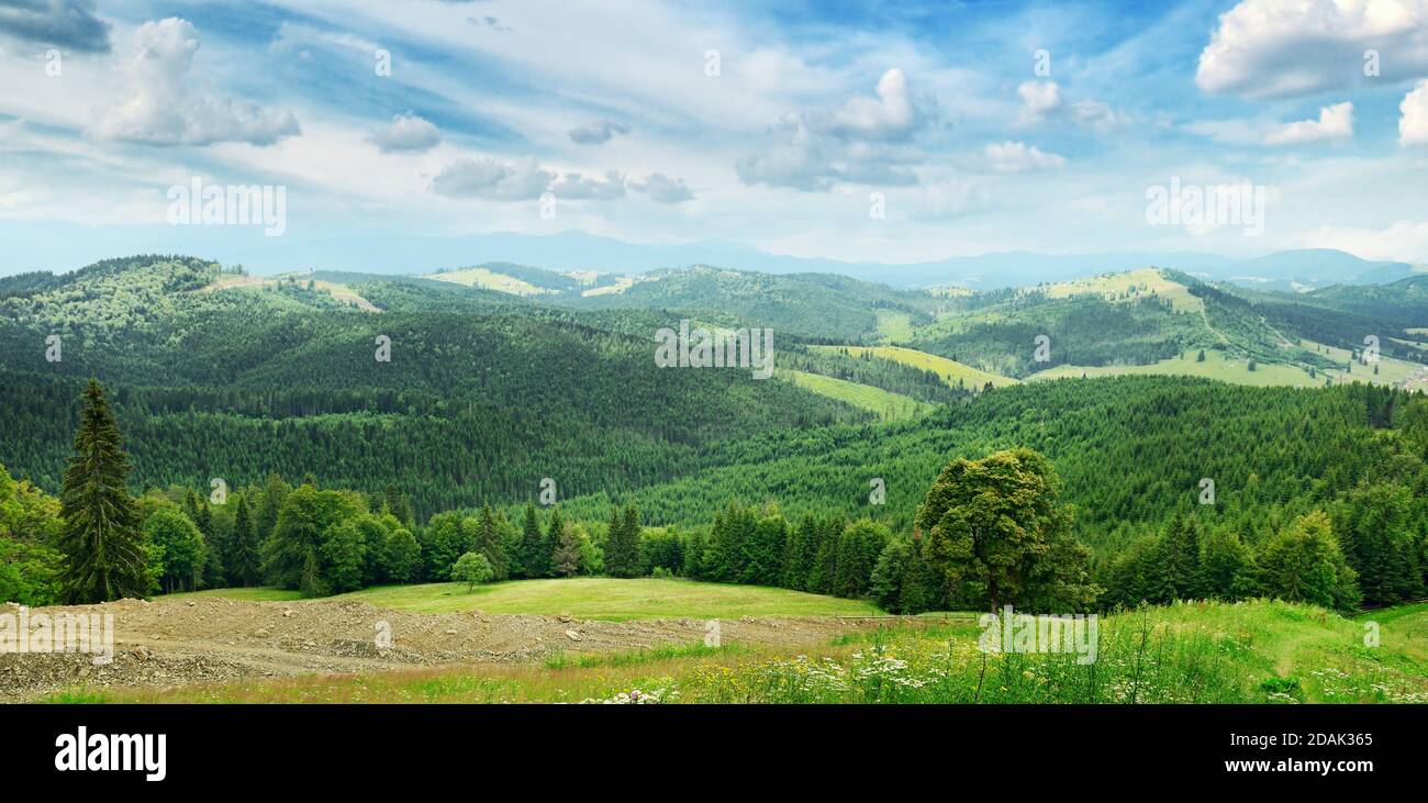 Hillside covered with trees hi-res stock photography and images - Alamy
