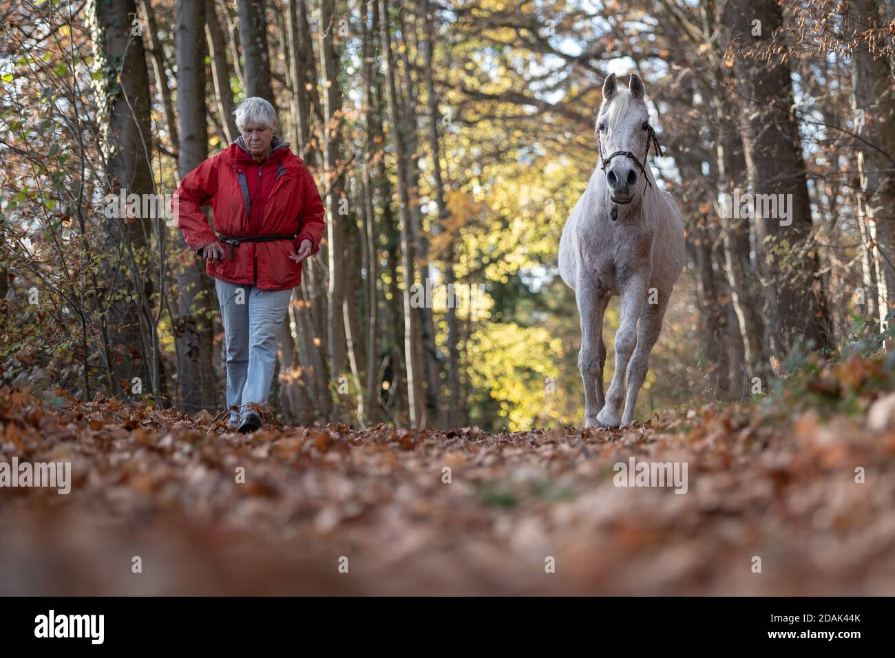 13 November 2020, Baden-Wuerttemberg, Tübingen: Lore takes her 30-year ...