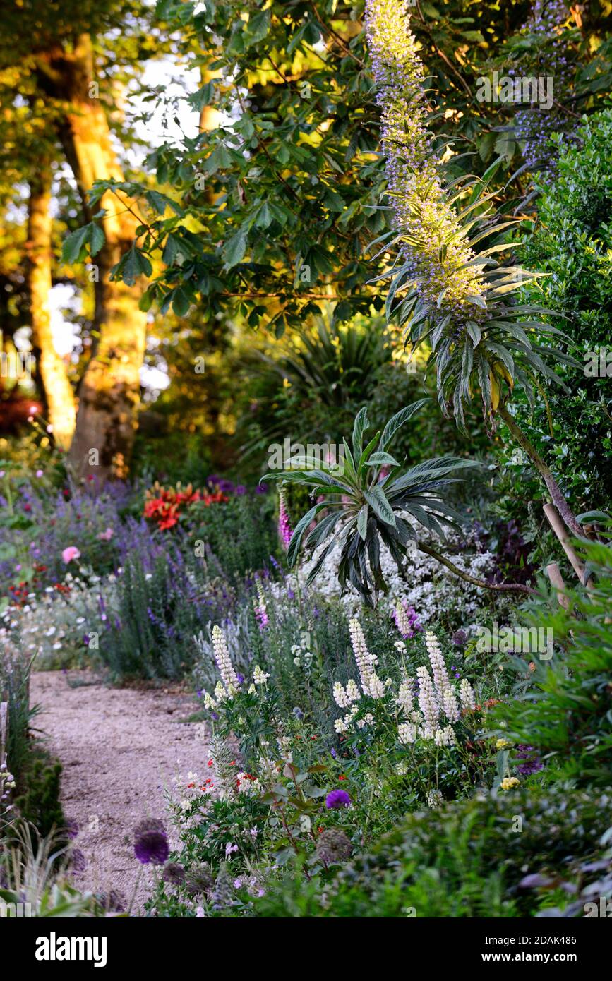 Mixed border hi-res stock photography and images - Alamy